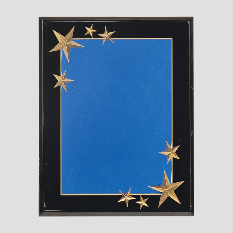 Carved Star Acrylic Plaque - Awards for Less